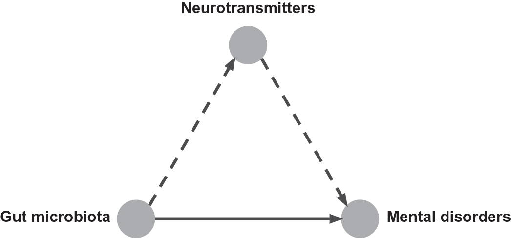Influence of Gut Microbiota on Mental Health via Neurotransmitters: A ...